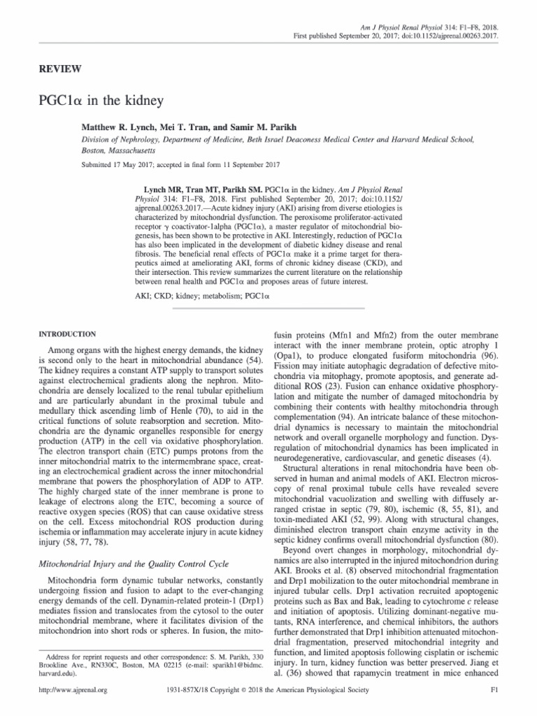 PGC1α in the kidney | PDF