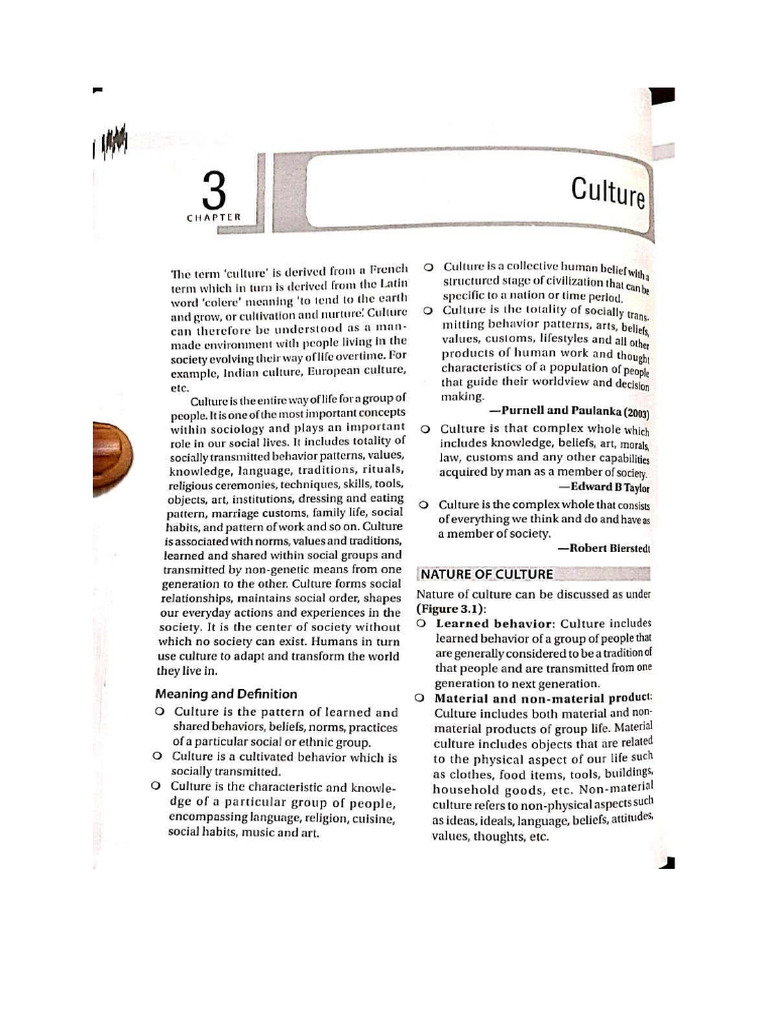 Culture | PDF