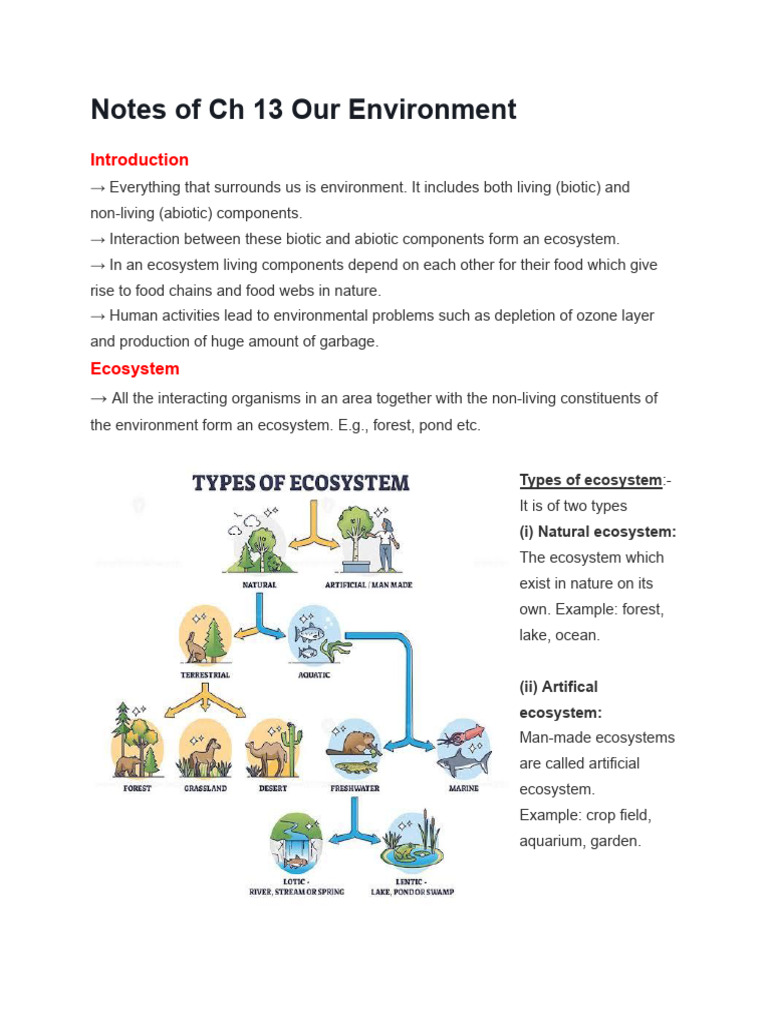 Class 10th CH 13 Our Environment | PDF | Food Web | Ecosystem