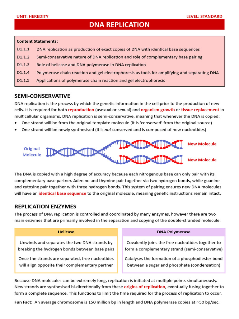 5.1 DNA Replication | PDF | Dna | Gel Electrophoresis