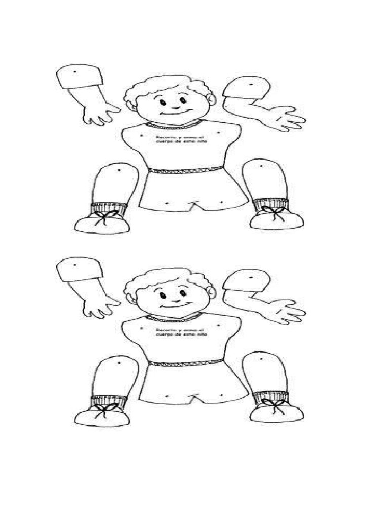 Laminas Del Cuerpo Humano Pdf