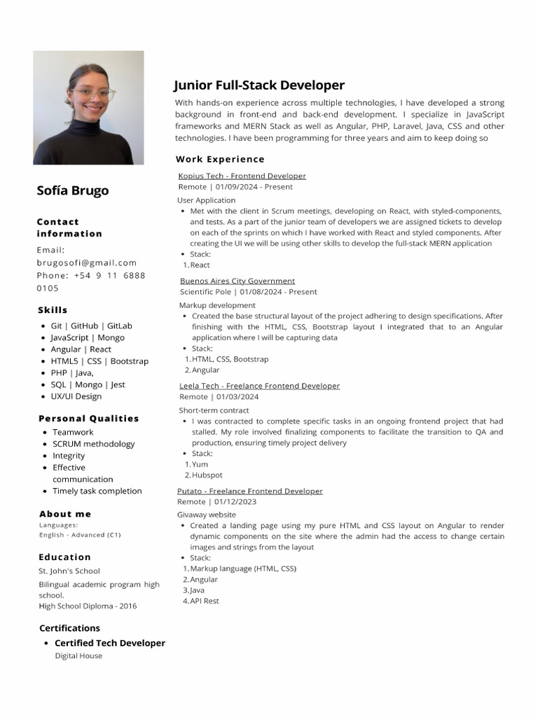 CV Programmer SB | PDF