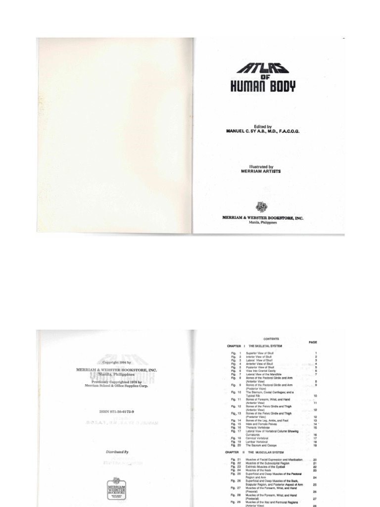 Atlas of Human Body by Manuel Sy | PDF
