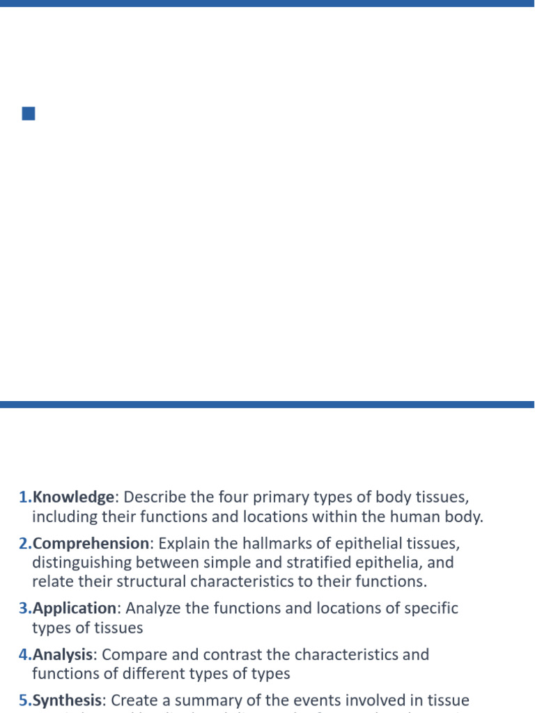 Overview of Human Body Tissues | PDF | Epithelium | Connective Tissue