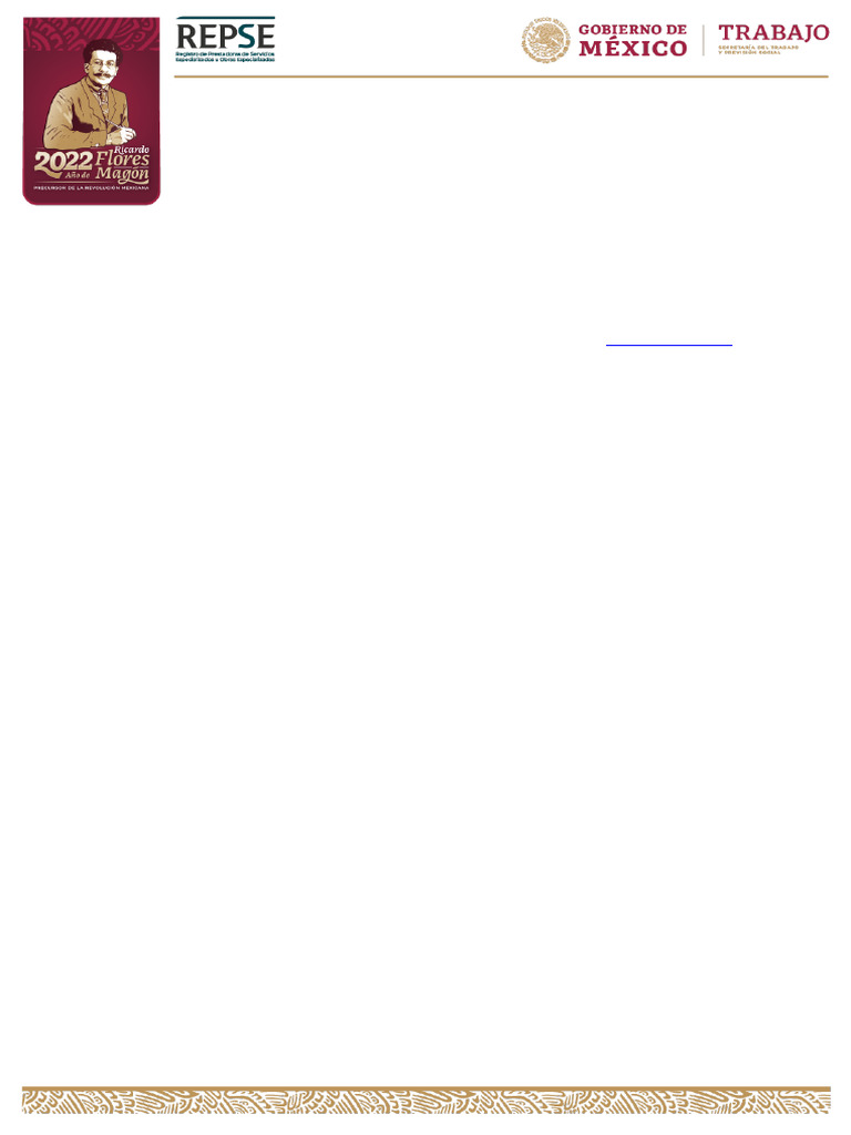 REPSE | PDF | Publicidad | Planificación de recursos empresariales