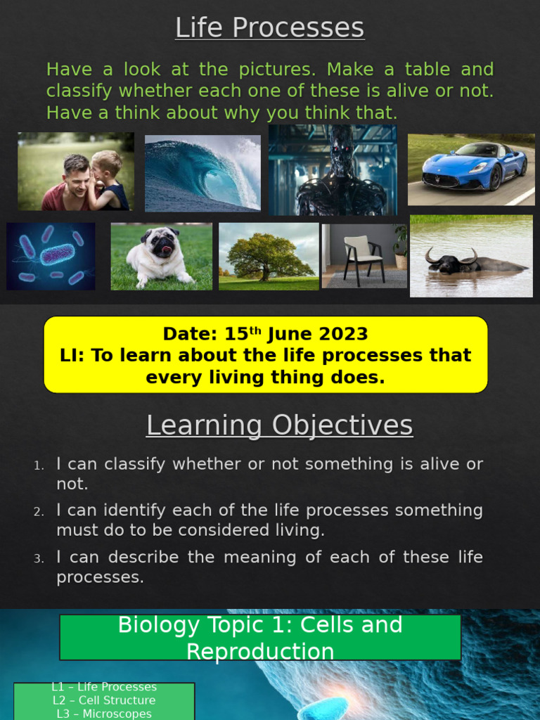 B101 - Life Processes | PDF | Nutrition | Diet & Nutrition
