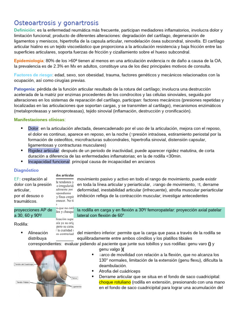 Osteoartrosis: Diagnóstico y Tratamiento | PDF | Articulación ...