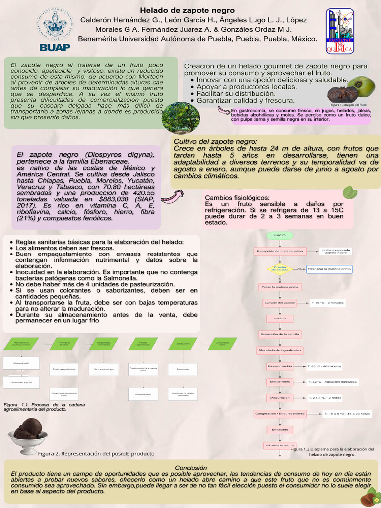 Helado de zapote negro | PDF