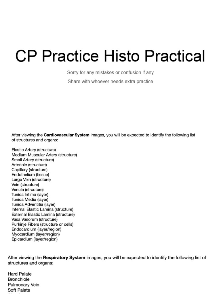 CP Practice Histo Practical | PDF | Vein | Artery