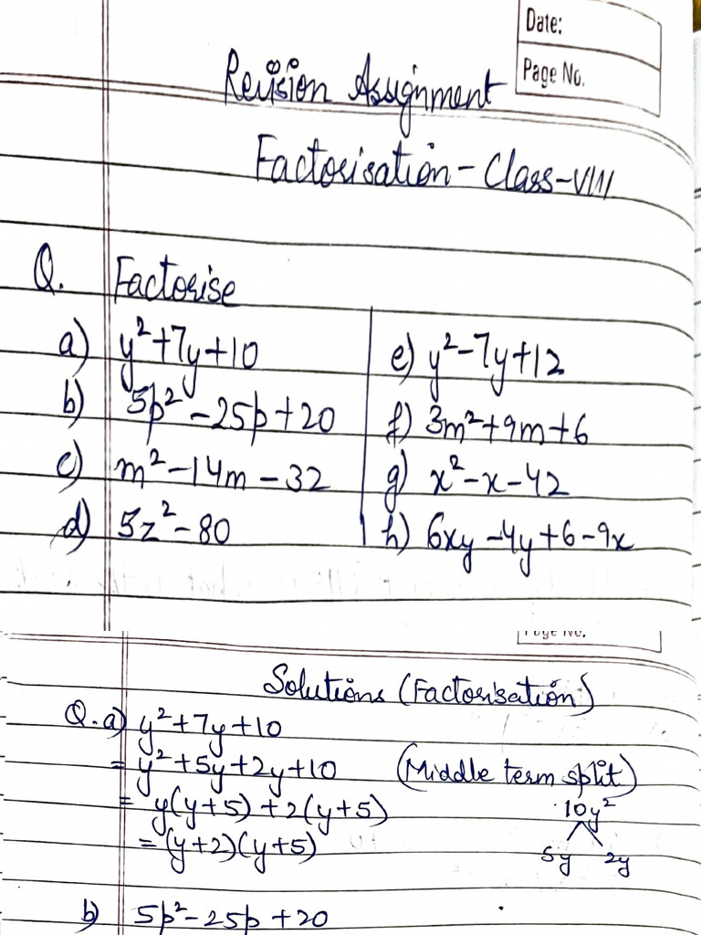 Assignment Factorisation With Solutions Pdf