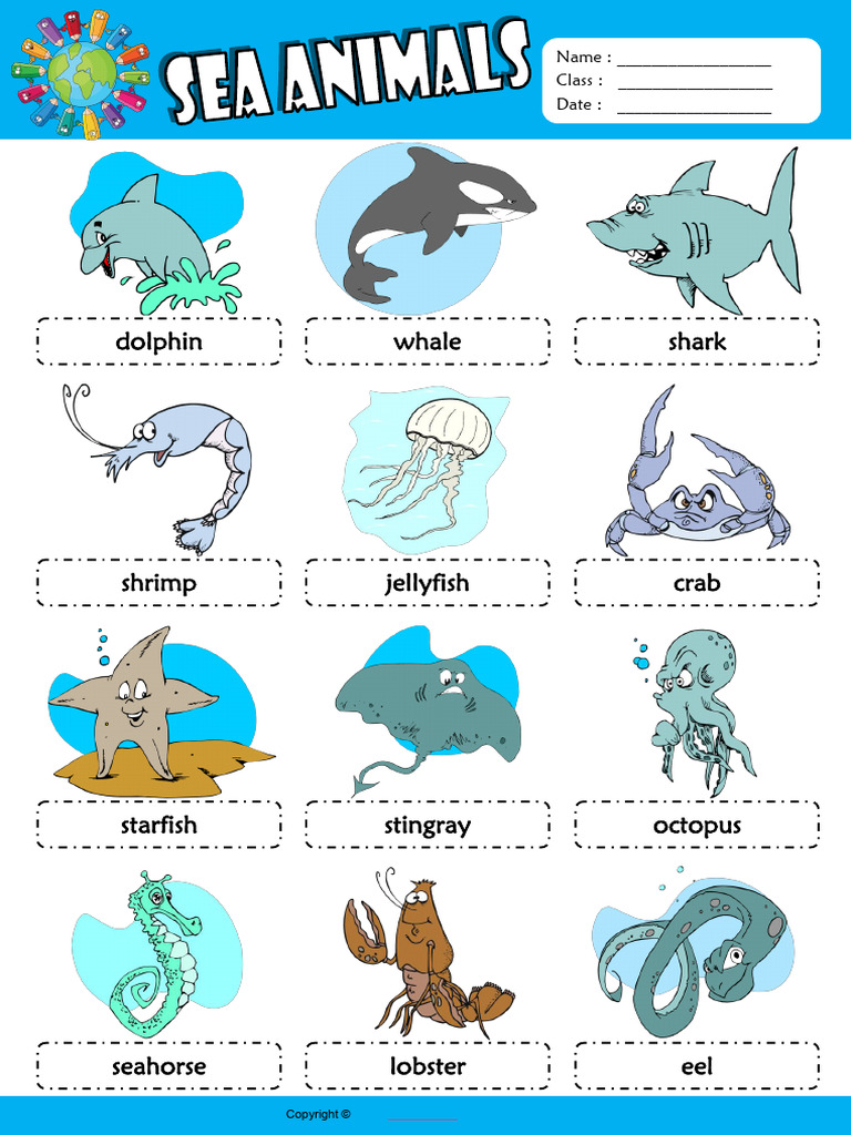 Sea Animals Esl Picture Dictionary For Kids | PDF