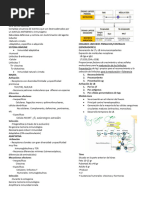 FICHA AMARILLAS MSP Ecuador | PDF | Medicamentos con receta | Medicina