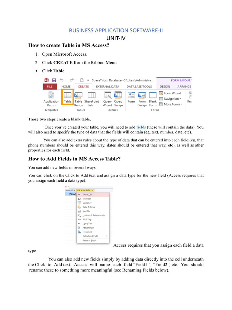 Business Application Software | PDF
