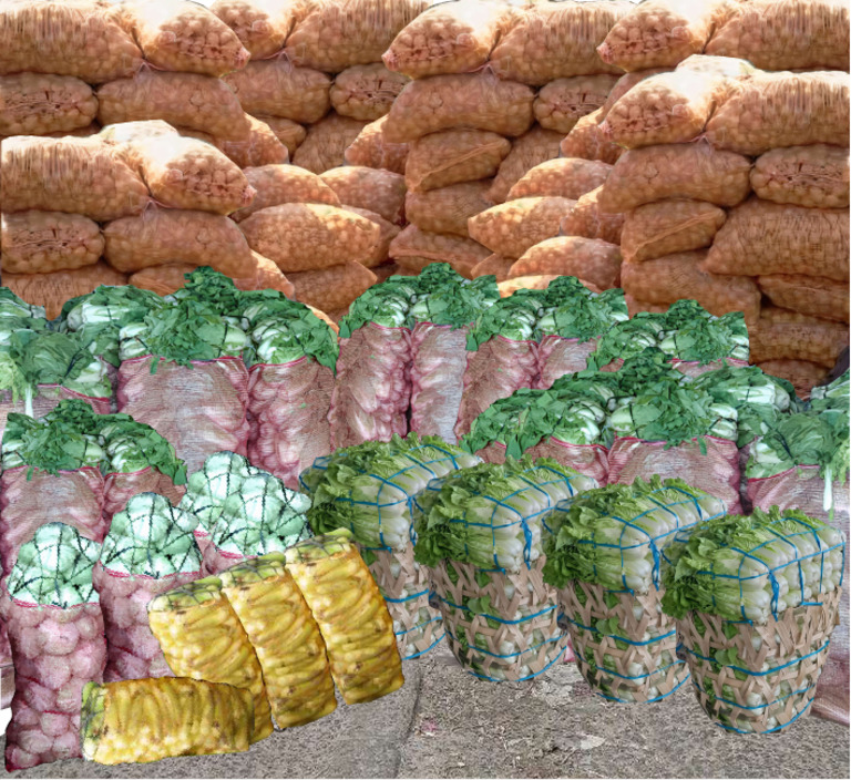 Background Sayur 1 - Compressed | PDF