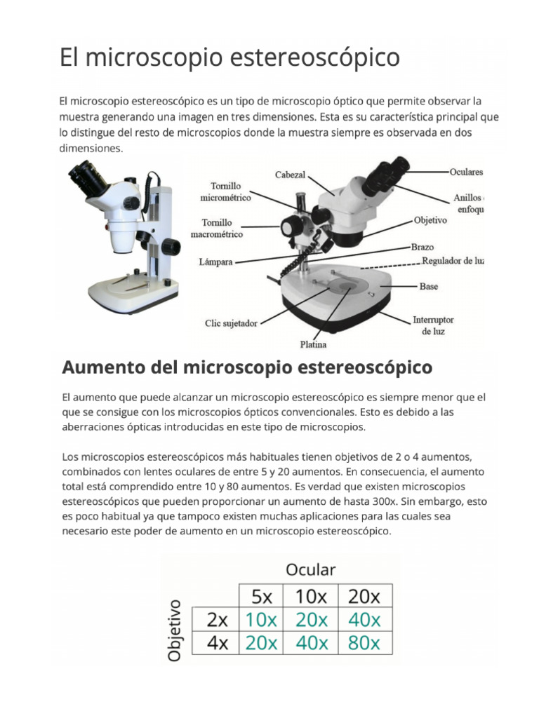 Microscopio de Disección o Microscopio Estereoscópico | PDF