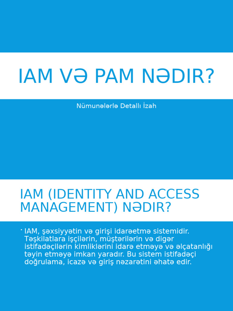 Iam Ve Pam Nedir | PDF
