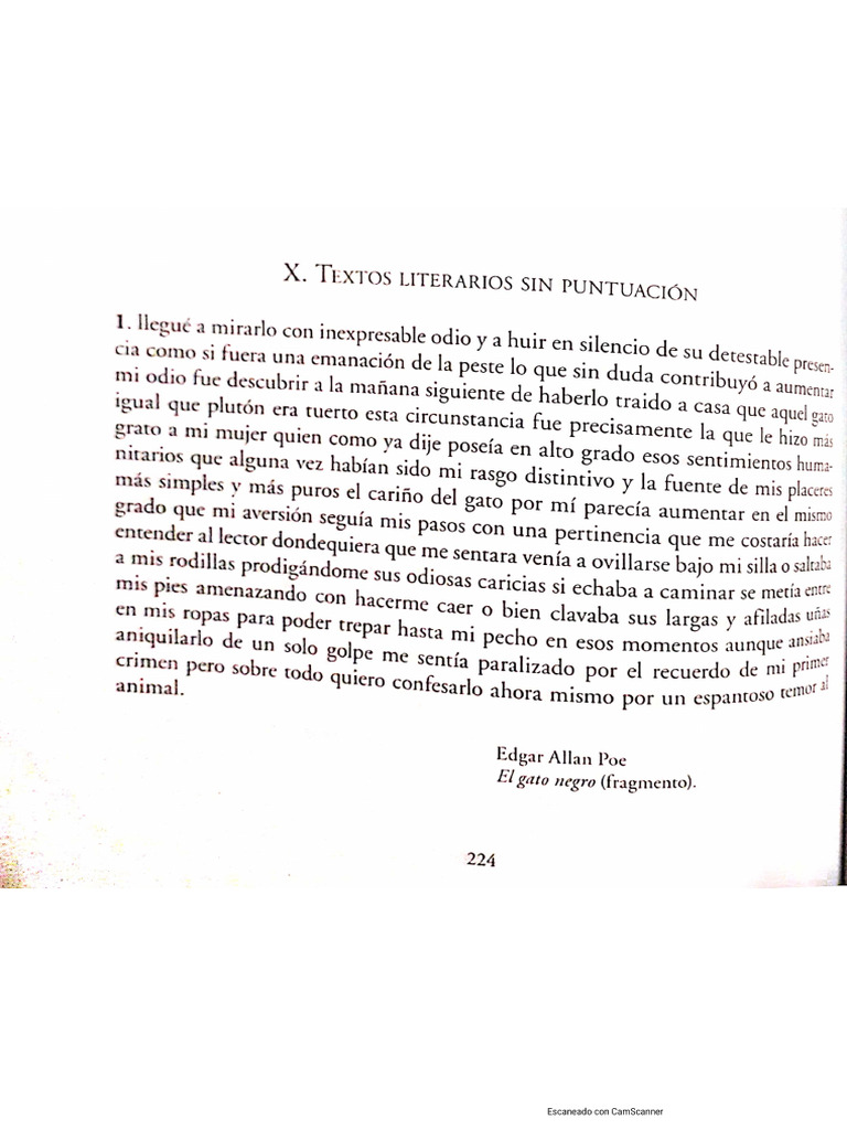 Textos Sin Puntuación | PDF
