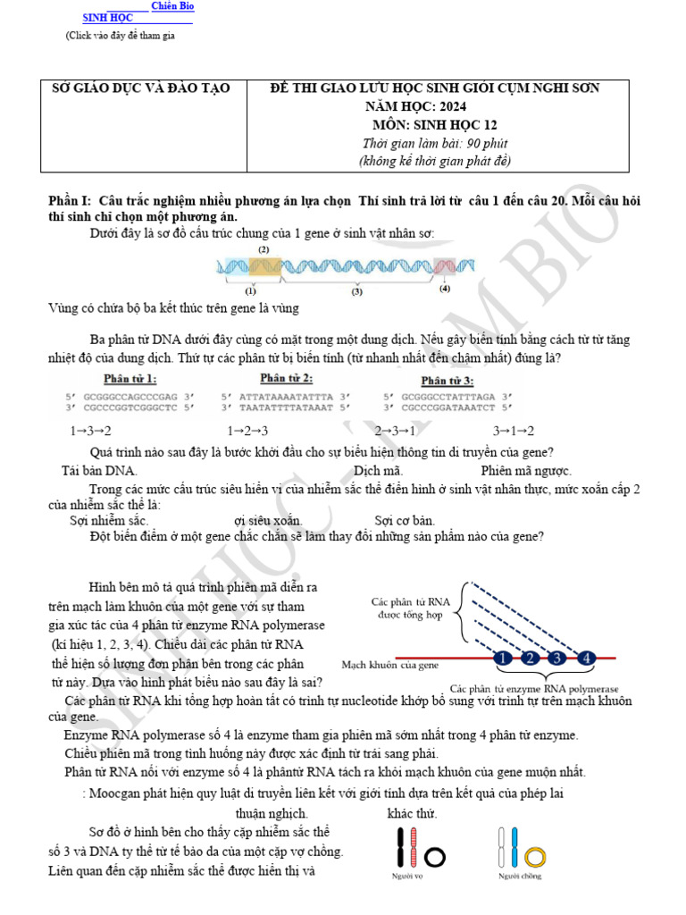 30. ĐỀ HSG SINH SỐ 30 | PDF