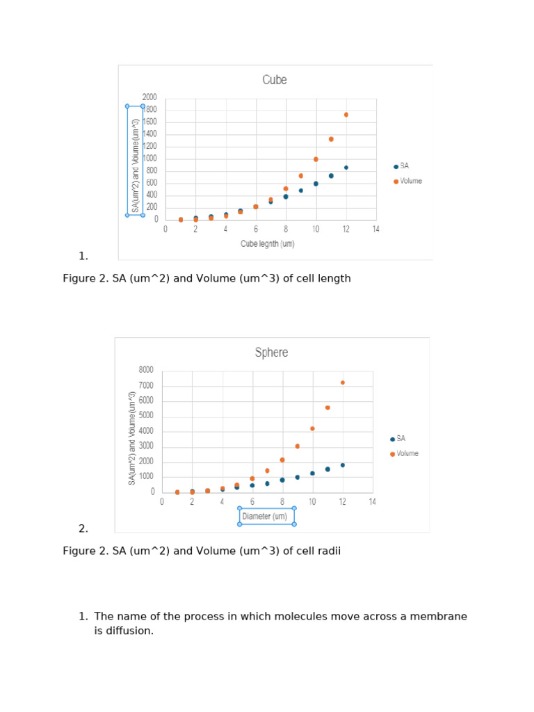 Cell Size and Diffusion Impact | PDF