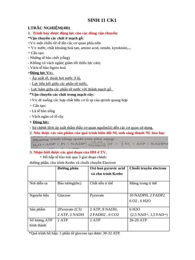 Sinh CK1 L P 11 | PDF