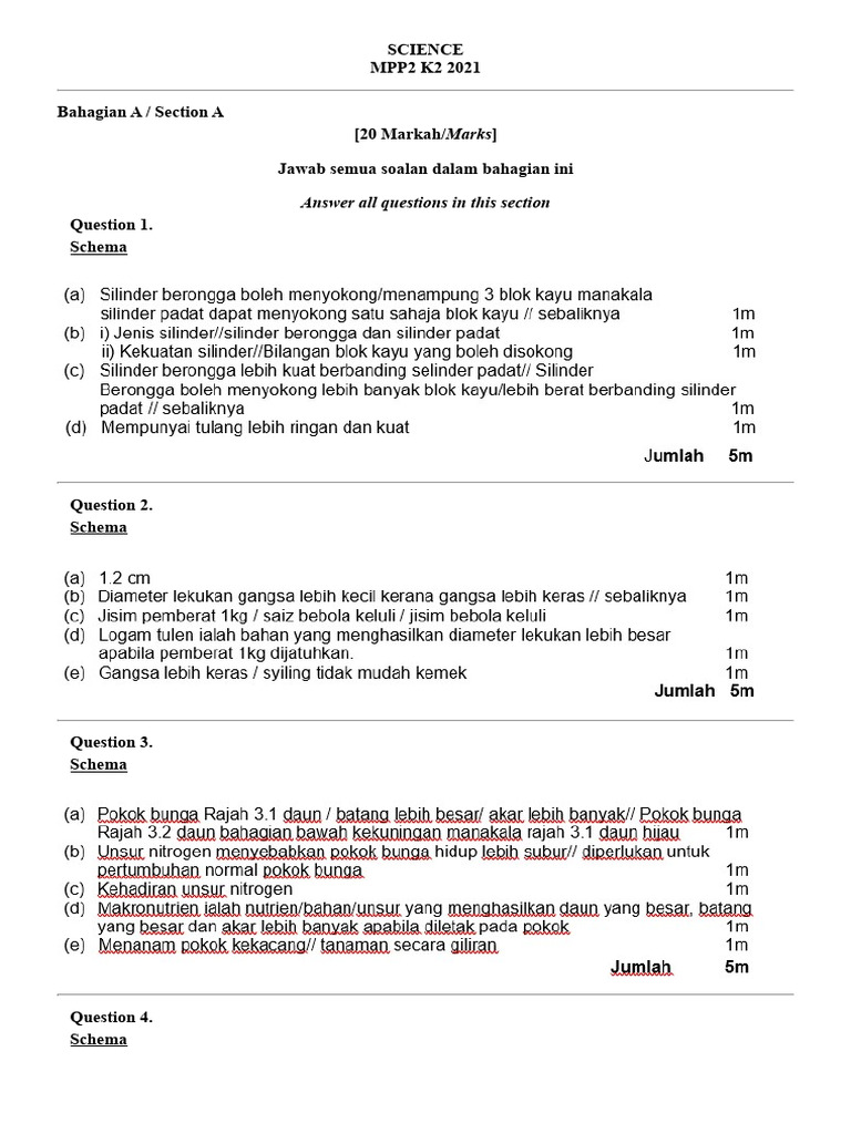 MPP2 K2 2021 SKEMA | PDF