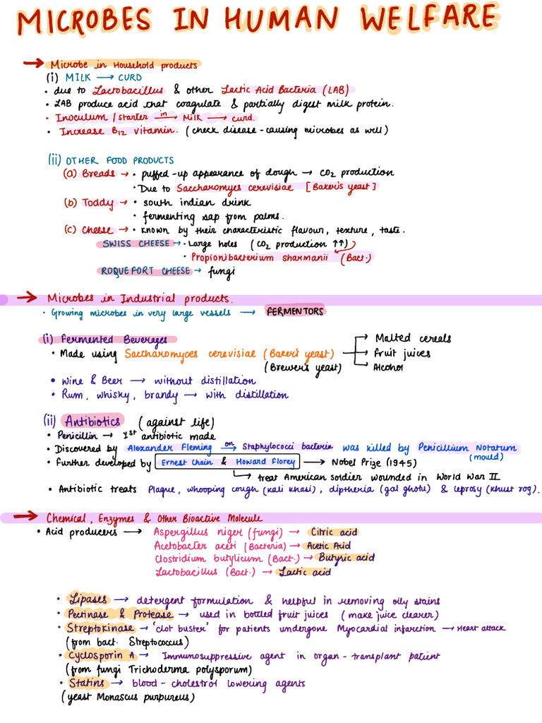 Class 12 Microbes in Human Welfare | PDF