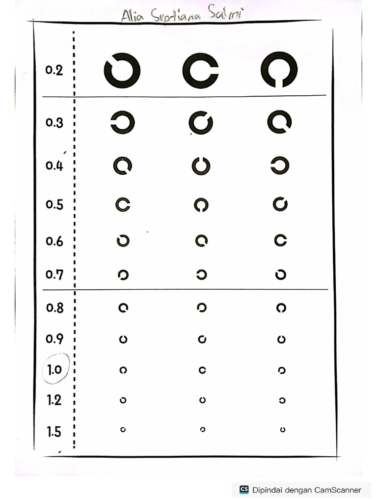 Alia Septiana Salmi,.. | PDF