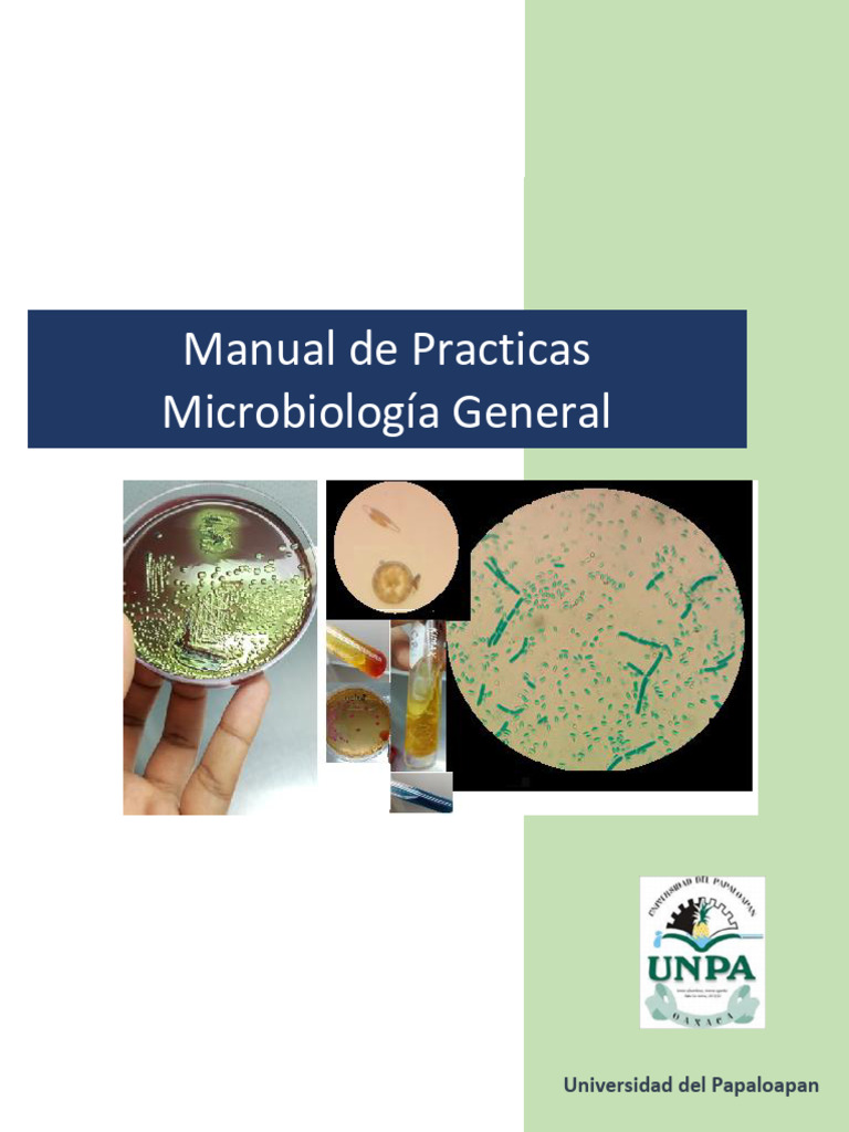 Practicas Microbiologia | PDF | Laboratorios | Esterilización (Microbiología)