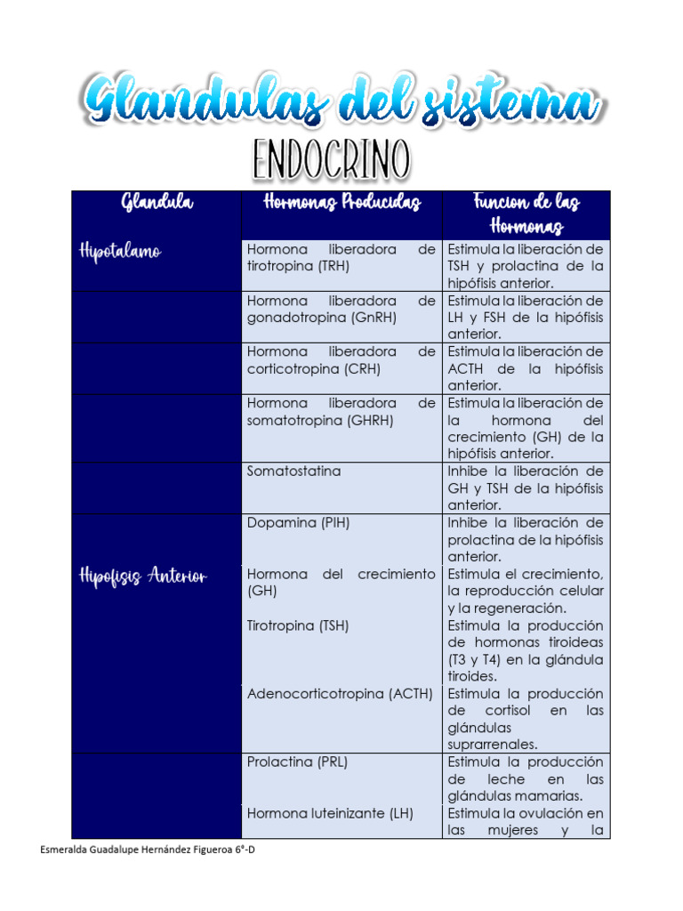Sistema endocrino | PDF | Hormona estimulante de la tiroides | Hormona luteinizante