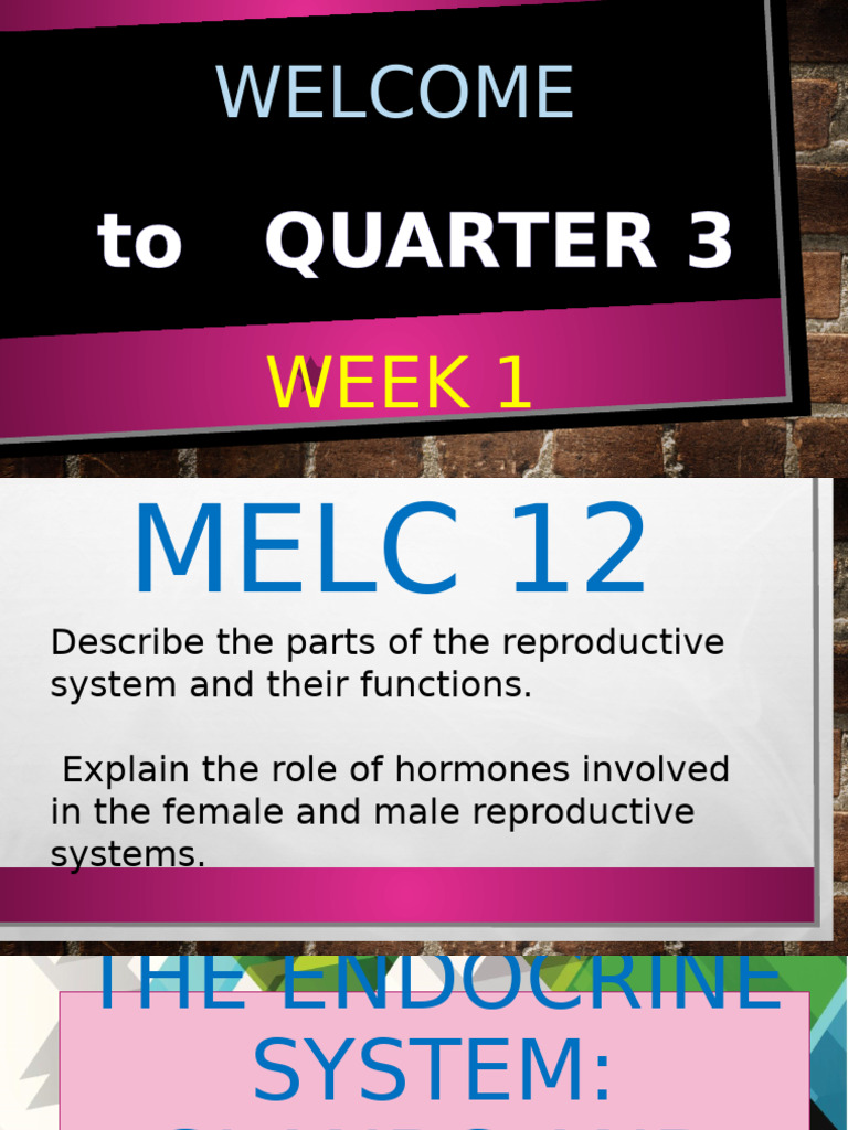 The Role of Hormones On Human Reproductive System | PDF | Luteinizing ...
