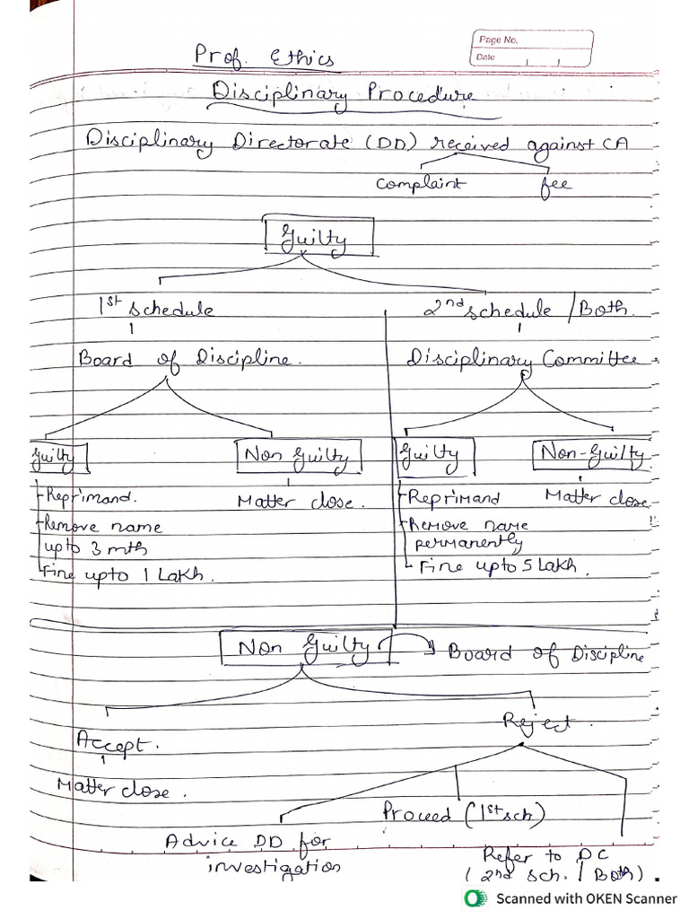 Professional Ethics Magic Charts-1 | PDF