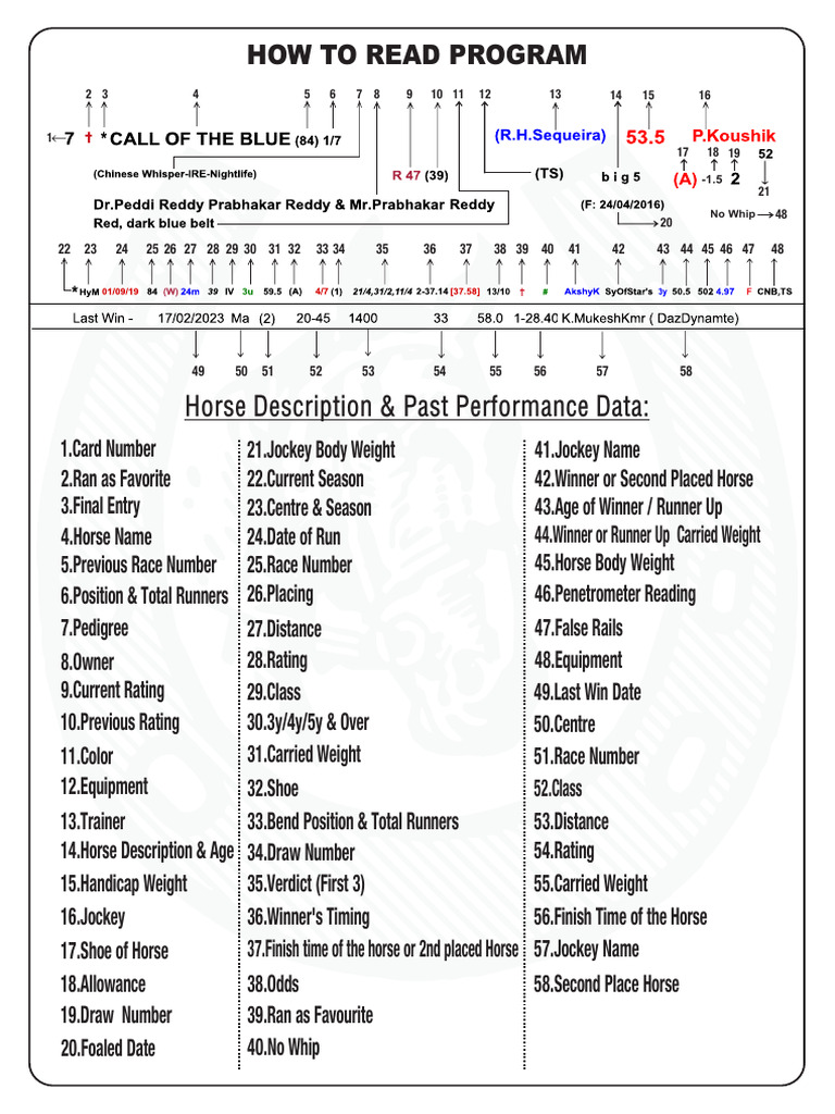 Horse Racing Program Reading Guide | PDF | Jockey | Thoroughbred Horses