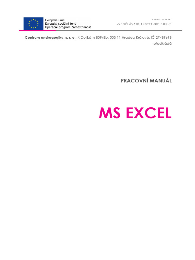 Manual MS Excel | PDF