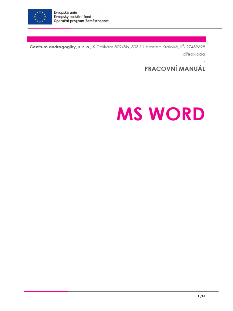 Manual MS Word | PDF