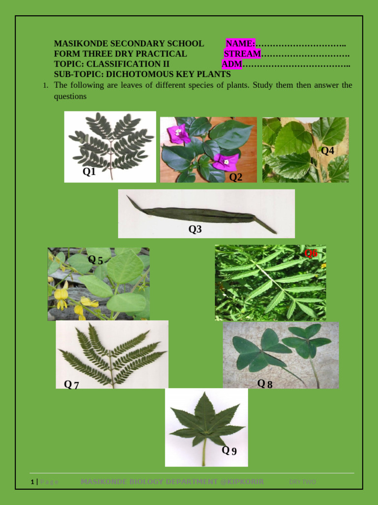 Dry Practical 2 Dichotomous Key Plants - 1 | PDF | Leaf | Branches Of ...