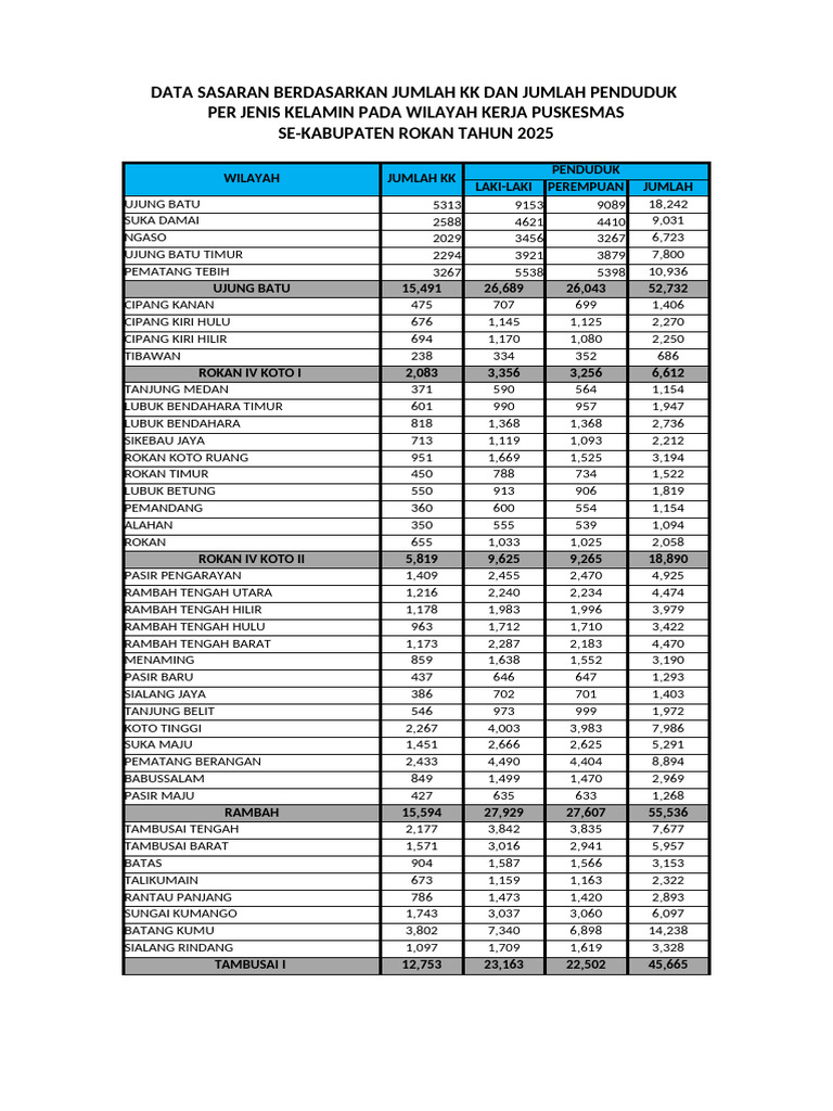 Final Data Sasaran Puskesmas 2025 | PDF