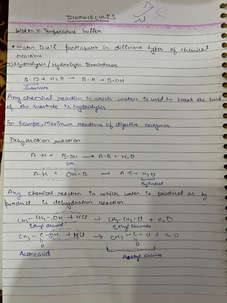 Bio Molecules Handwritten | PDF