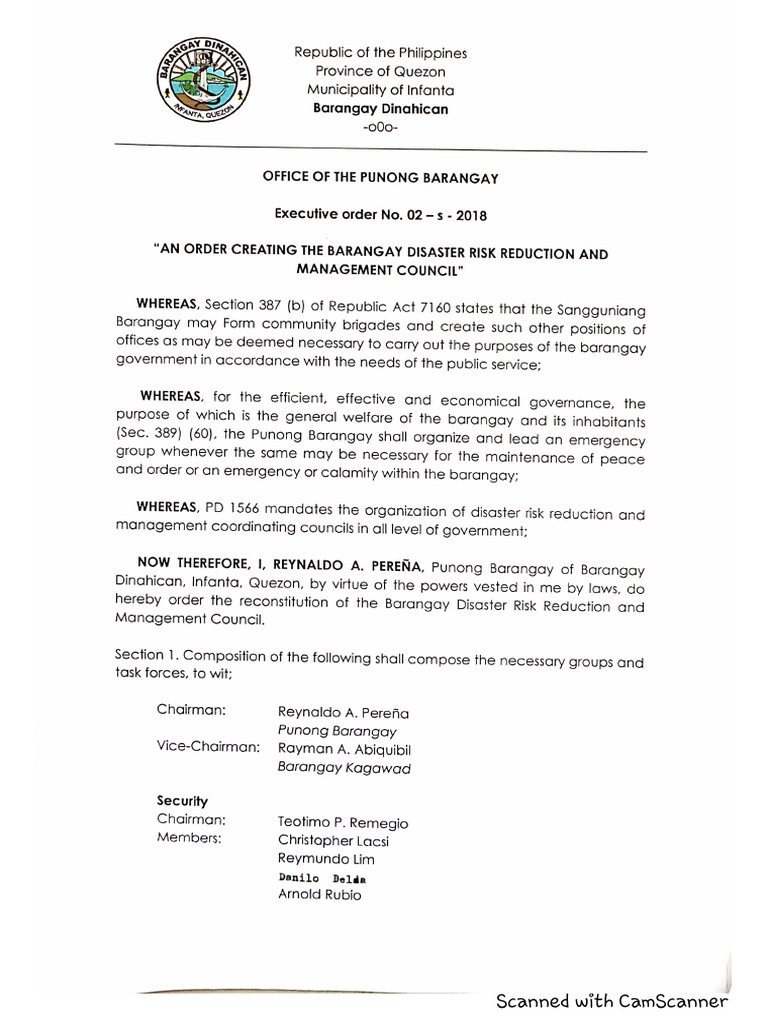 1.3 Eo BDRRMC Dinahican | PDF