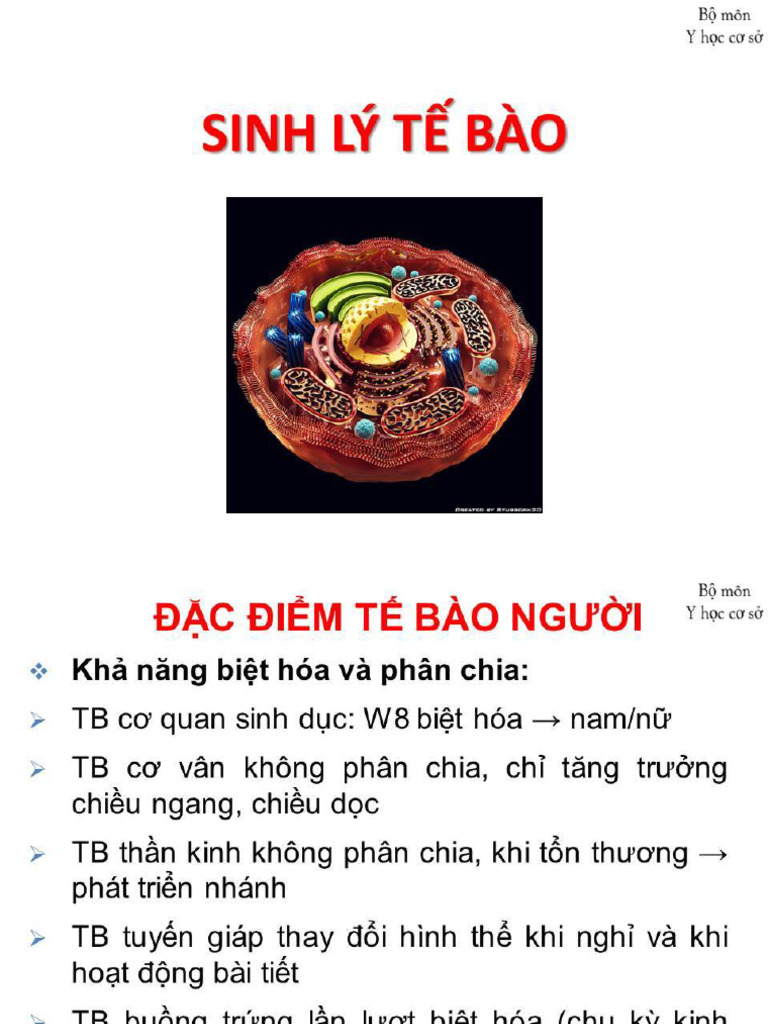 SINH LÍ TẾ BÀO | PDF