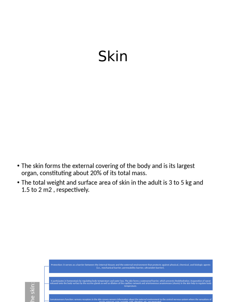 Skin | PDF | Skin | Epidermis