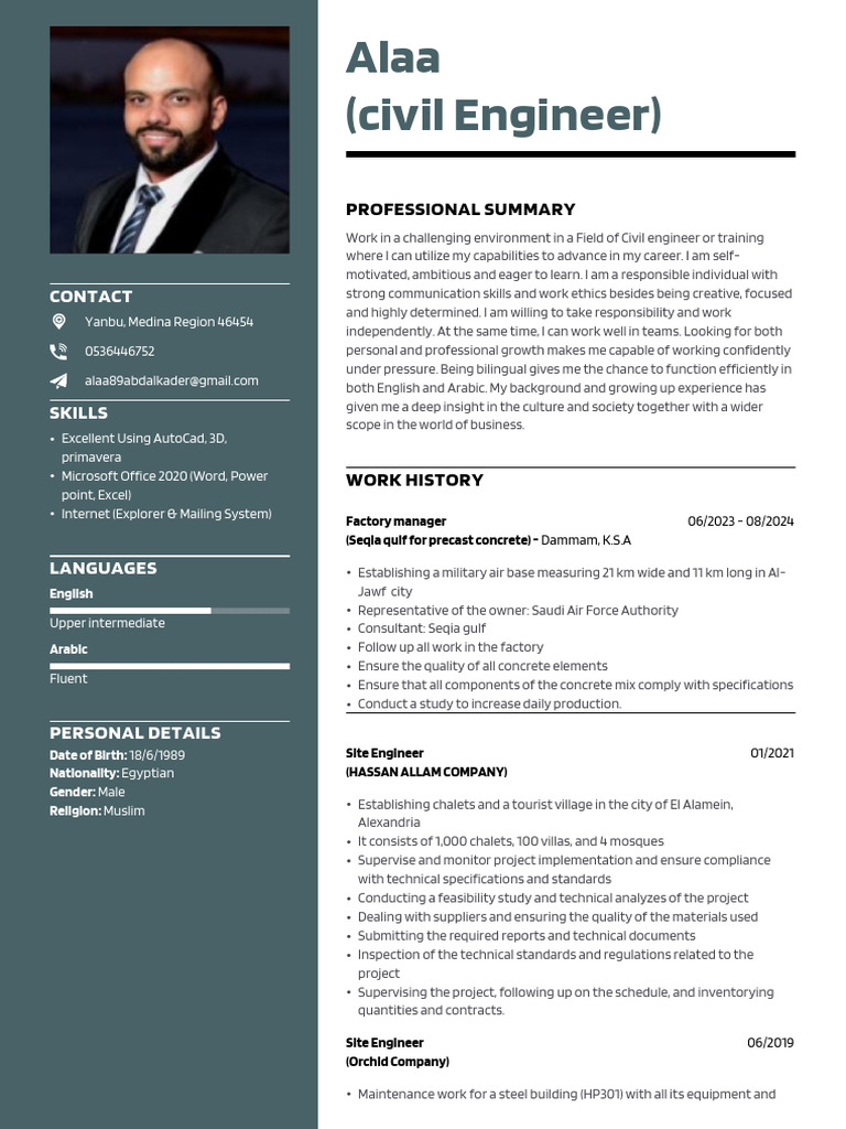 Alaa_Mohamed_CV | PDF | Specification (Technical Standard) | General ...