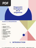 Échelle de Bristol des selles : Guide médical | PDF
