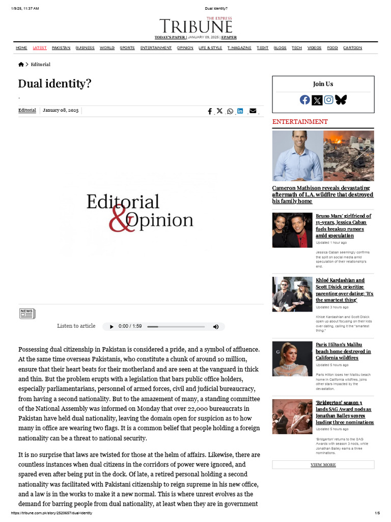 Dual identity_ | PDF | Government