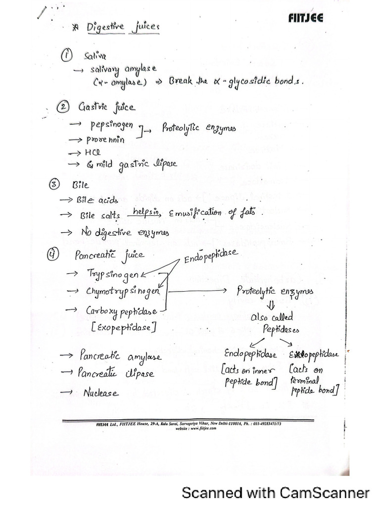 Biology Notes | PDF