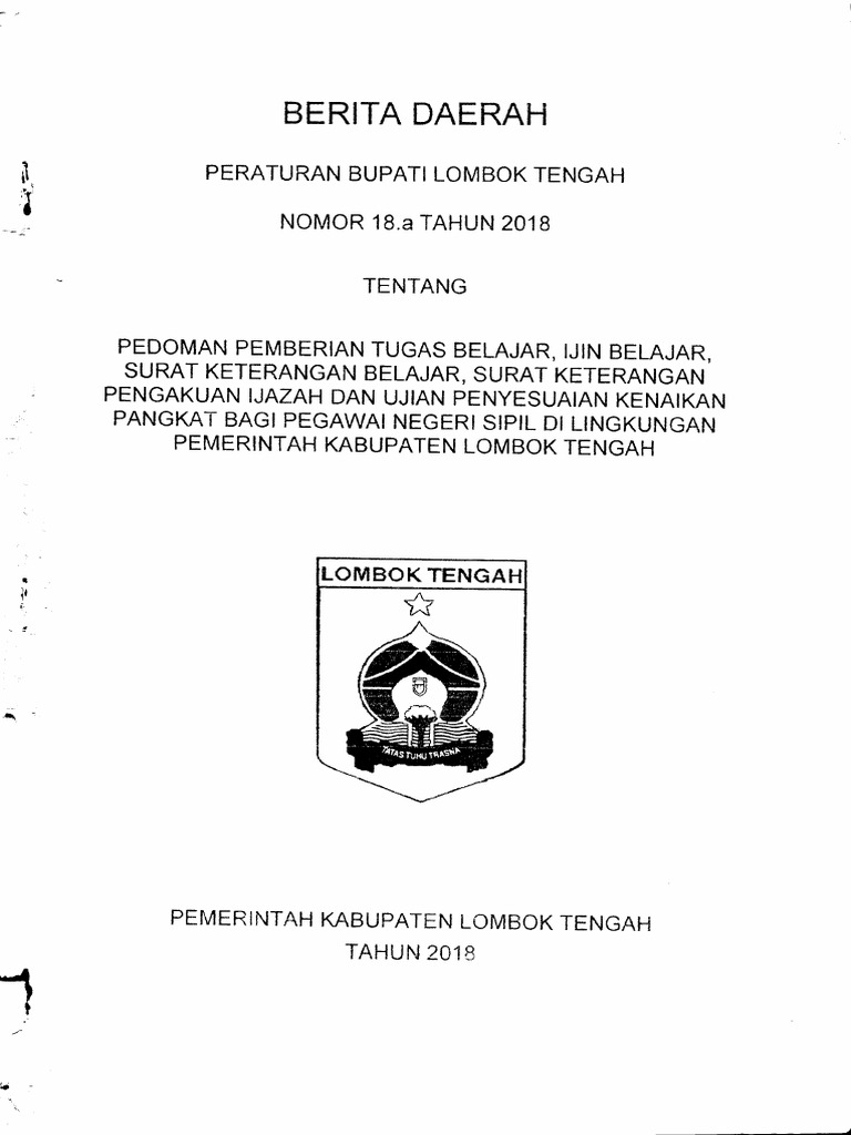 Perbup Loteng 18.a 2018 ttg Pedoman Pemberian TB, IB, SKB, SKPI, UKKPI | PDF