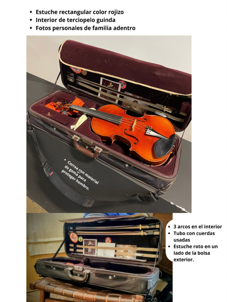 Se Busca Viola | PDF