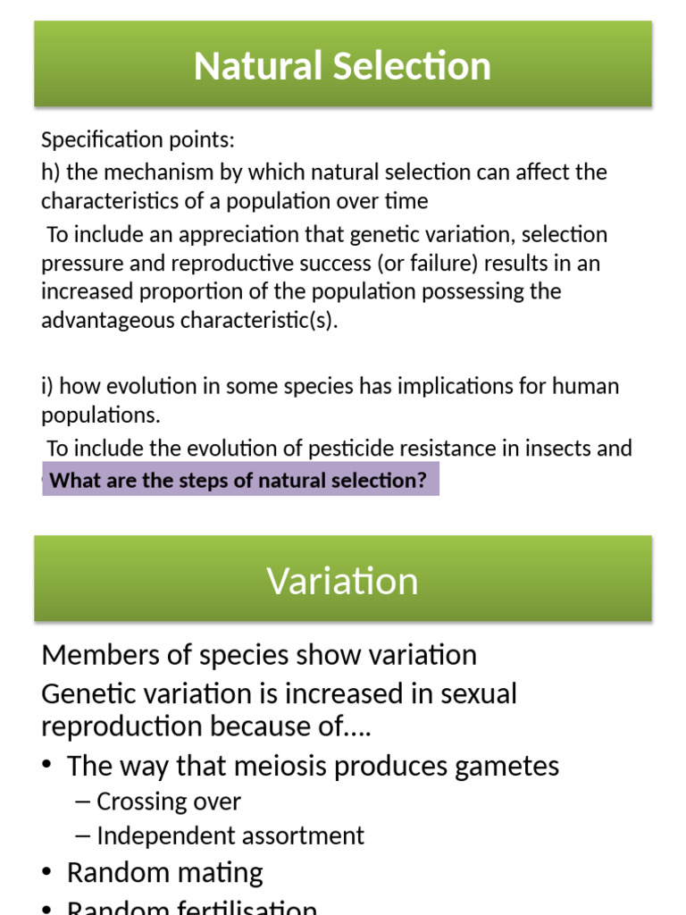 Lesson 6_Natural Selection | PDF | Natural Selection | Evolution