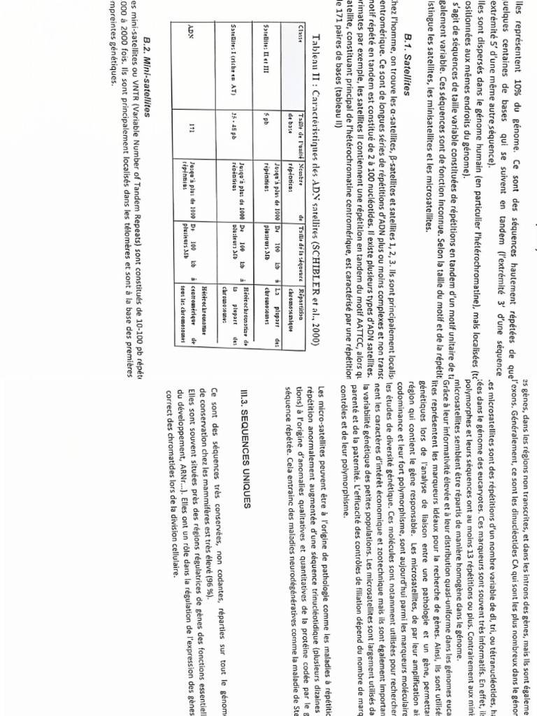 7d8bcd9a-688c-428a-8202-e1bffba21c80 | PDF