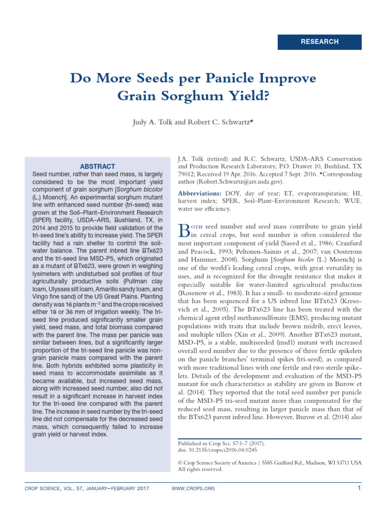 Do More Seeds Per Panicle Improve Grain Sorghum Yield | PDF | Soil ...