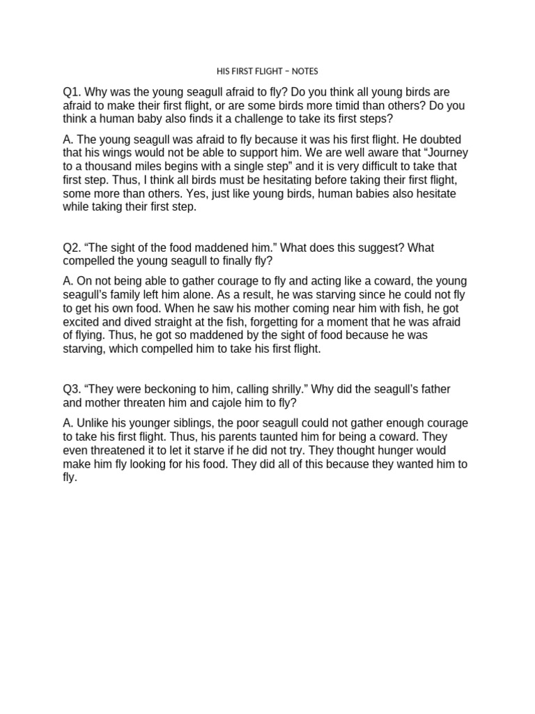 His First Flight - Notes | PDF